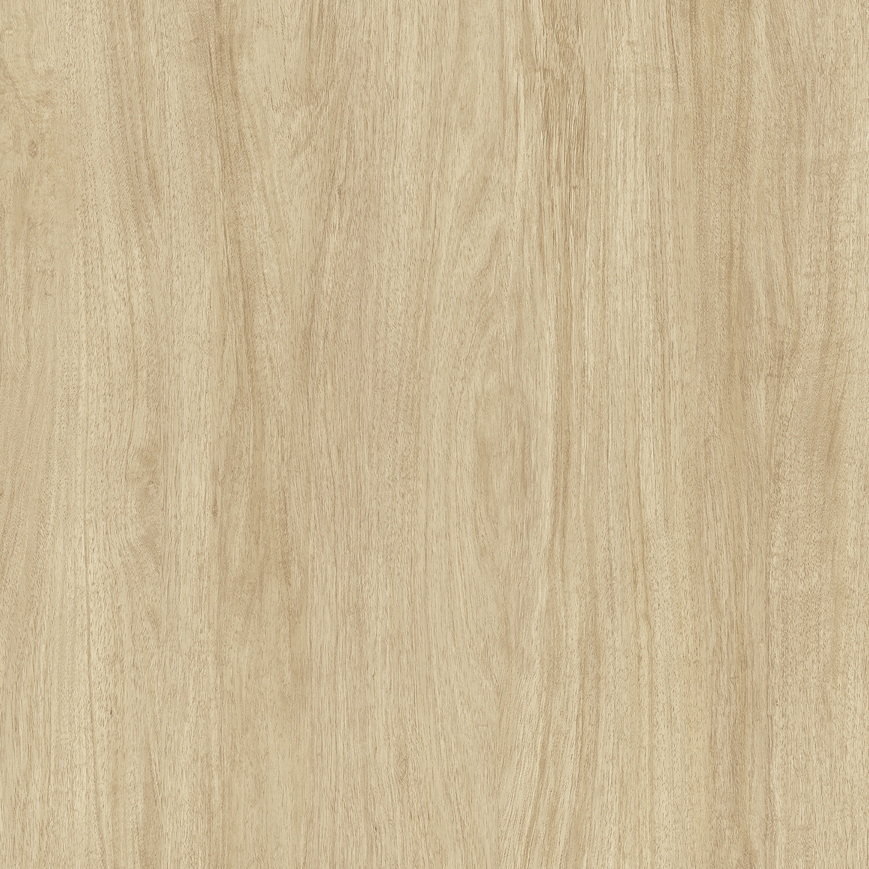 Mojave | Tafisa