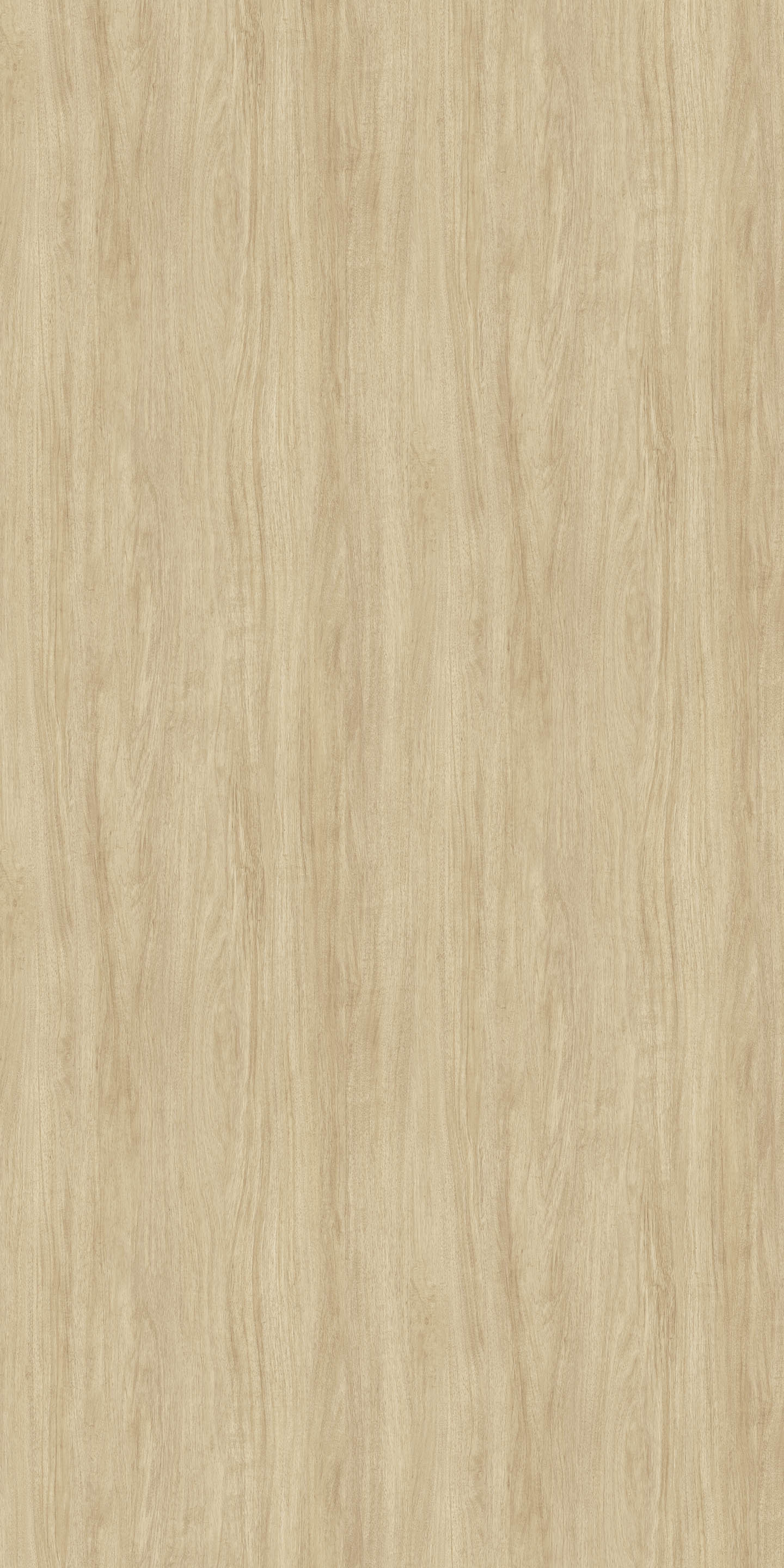 Mojave | Tafisa