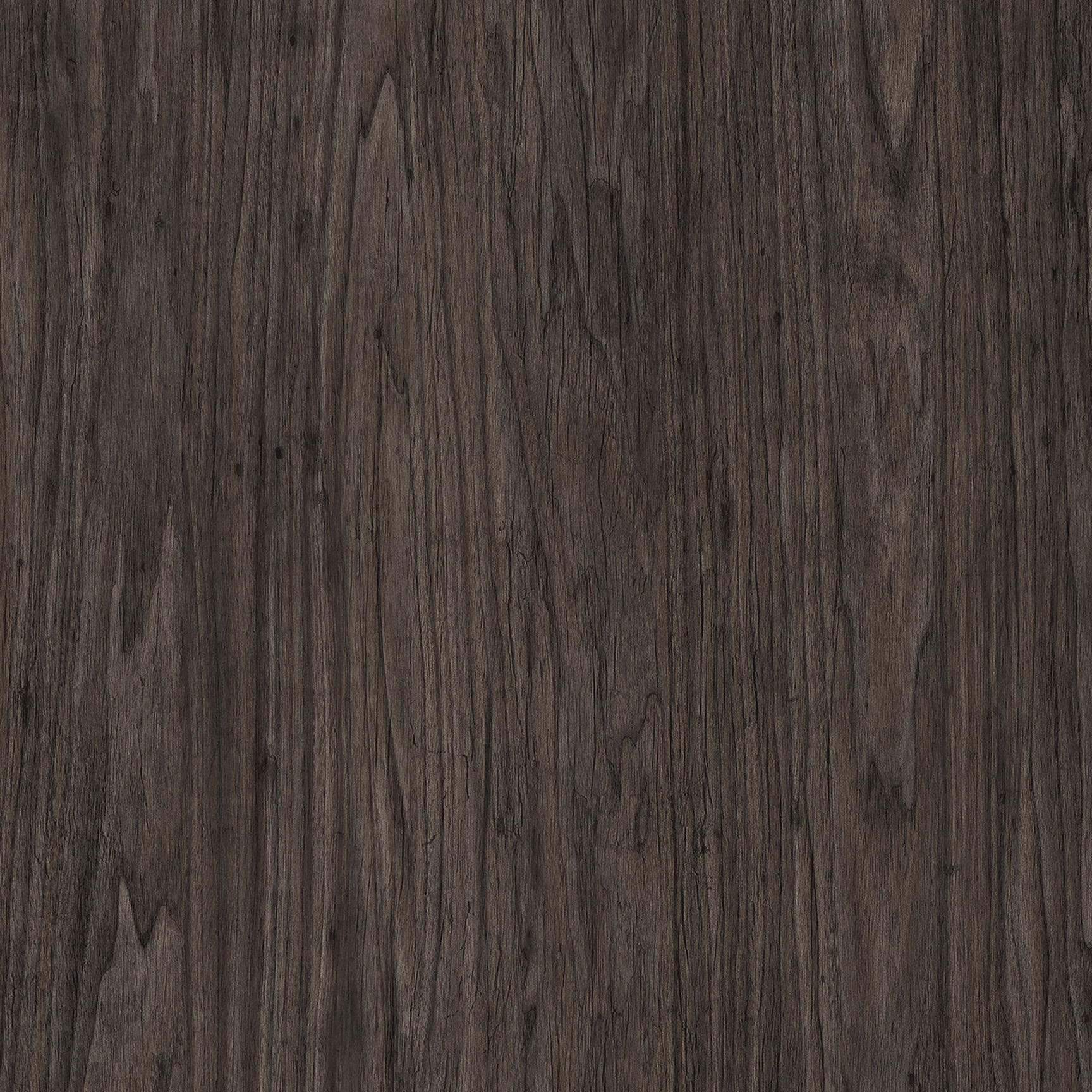 After-Hours | Tafisa