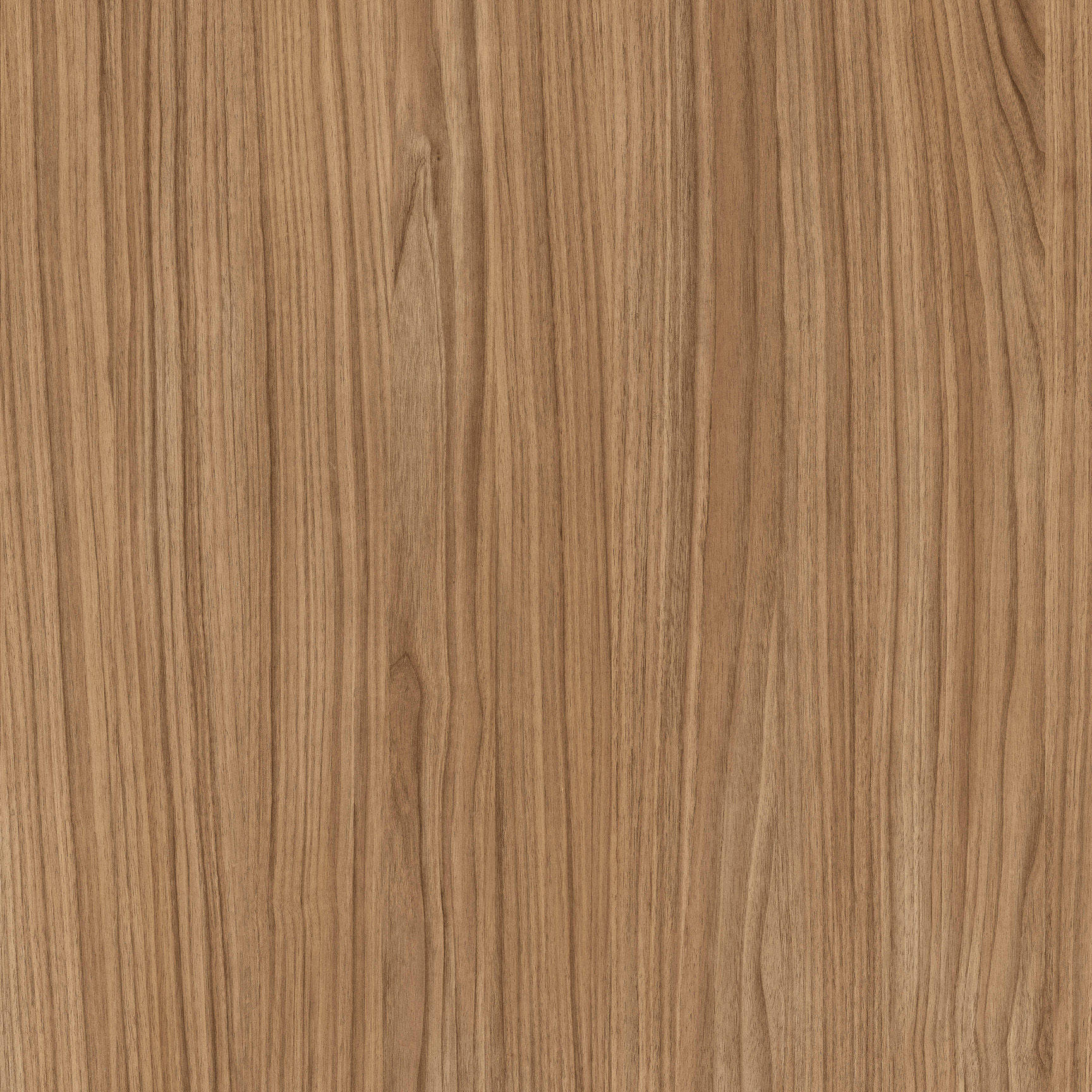 Nutmeg | Tafisa