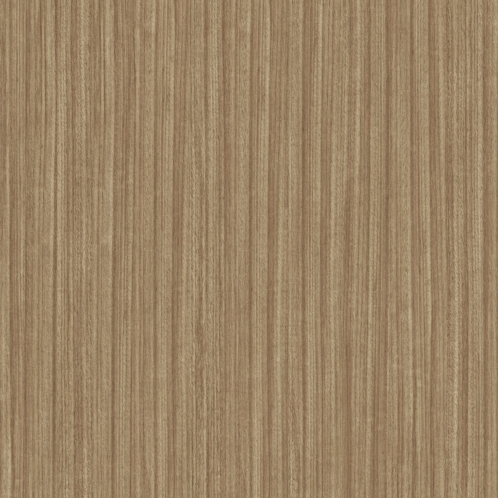 Laurentian Path | Tafisa