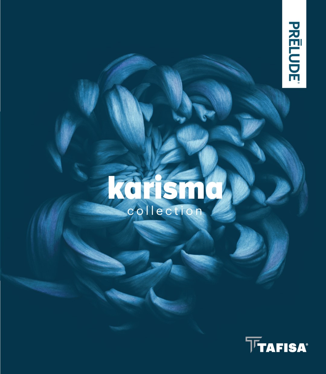 First Class | Tafisa