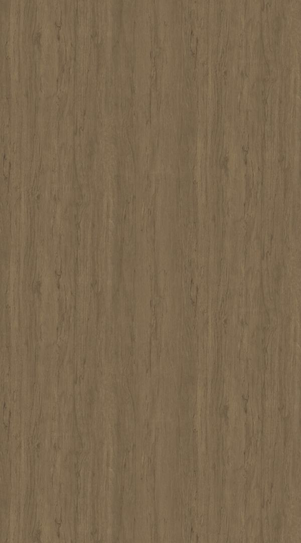 Salt of the Earth | Tafisa