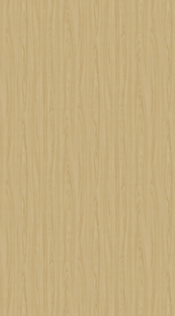 Miel d'Acacia | Tafisa